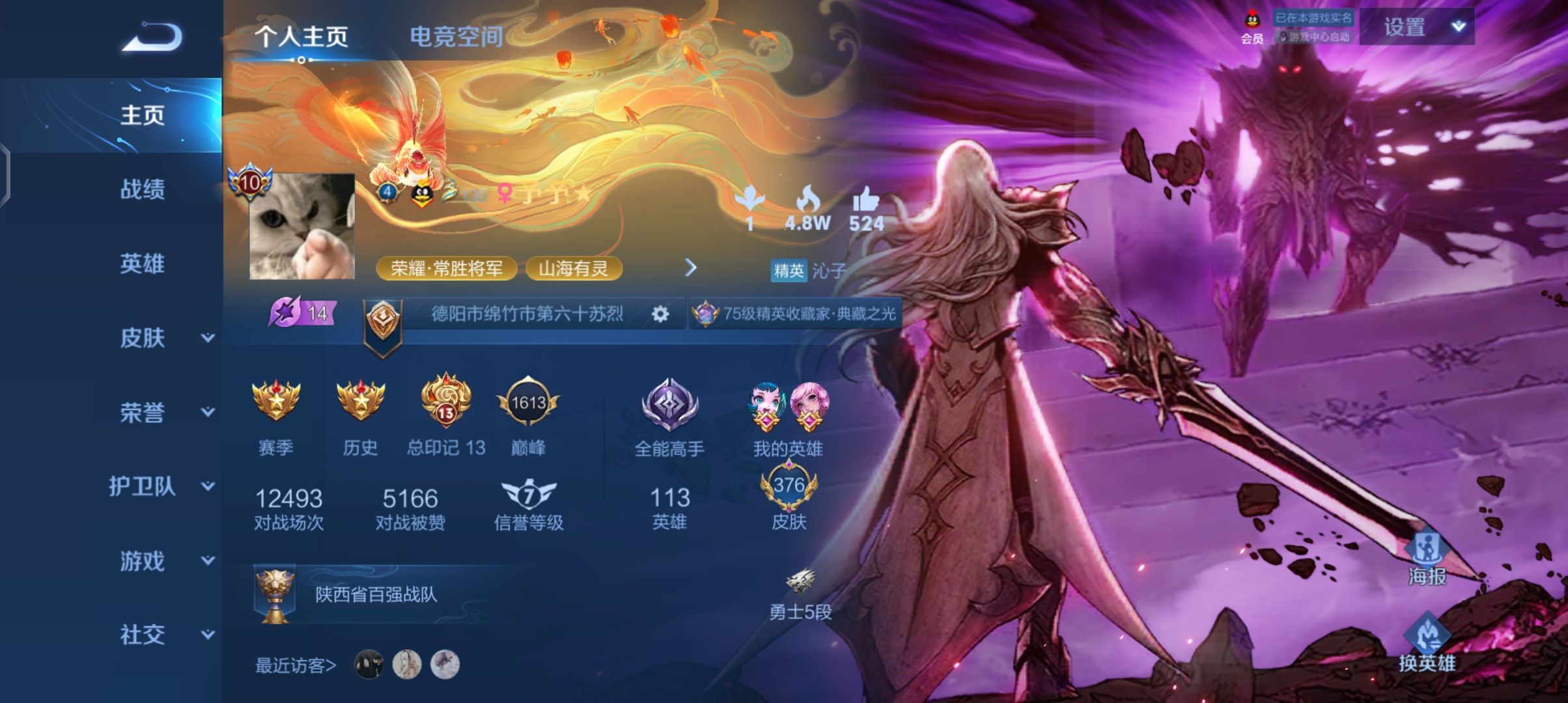 【376皮】【V10】【8典藏 4紫】银白咏叹调 鸣剑.拽影 杀手不太冷 九宵神辉 幽冥之眼 幽冥火 幻海之心 无限倾心 天魔缭乱 冰封战神 李逍遥 神器 / 王者农药 / 标题写明区服 ...